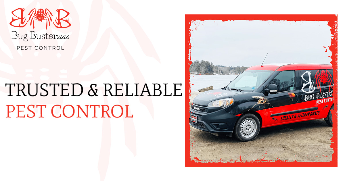 Pest Control Company in Augusta | Bug Busterzzz Pest Control